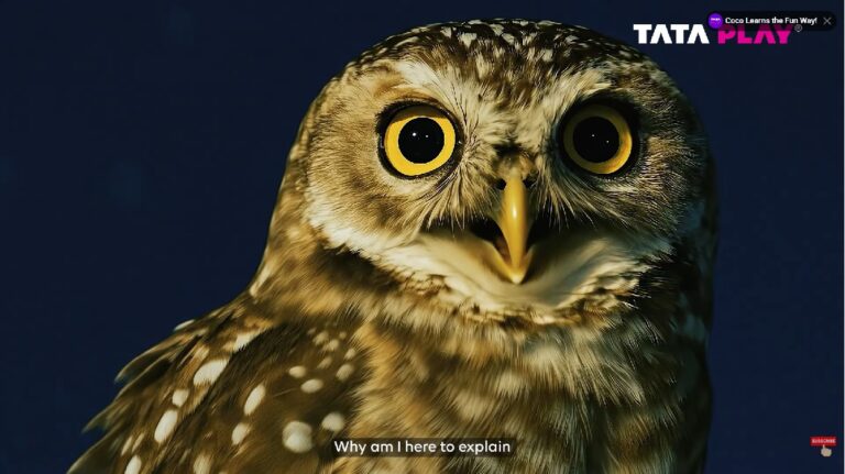 Tata Play’s new AI campaign uses an owl and donkey to simplify DTH ...